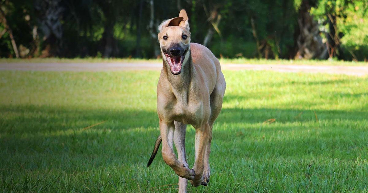 GREY2K USA Worldwide